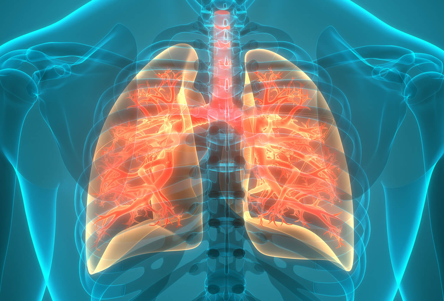 Tuberculose: saiba identificar os sintomas - Hospital Santa Virgínia
